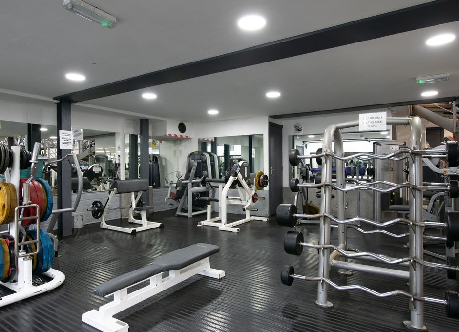 The Body Factory GYM | Hussle.com