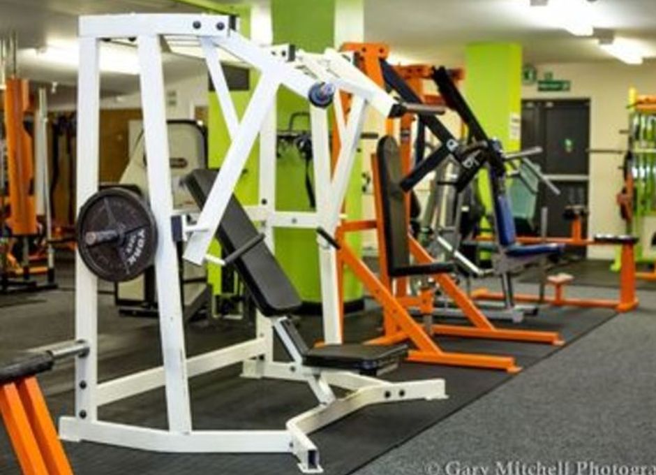 Alpha Training Gym | Hussle.com